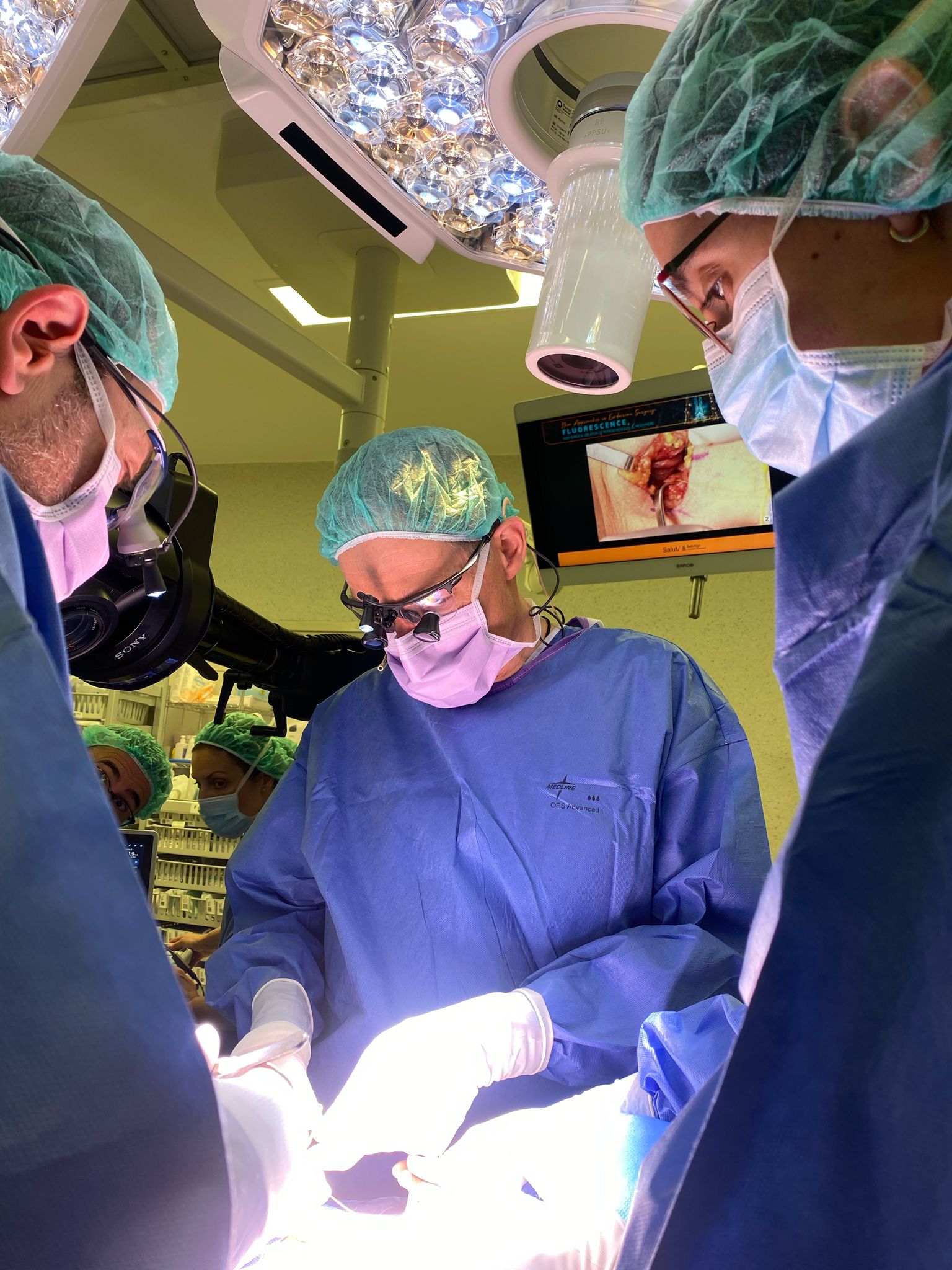 Especialistas de todo el mundo presentan en el Hospital de Bellvitge los últimos avances en ...